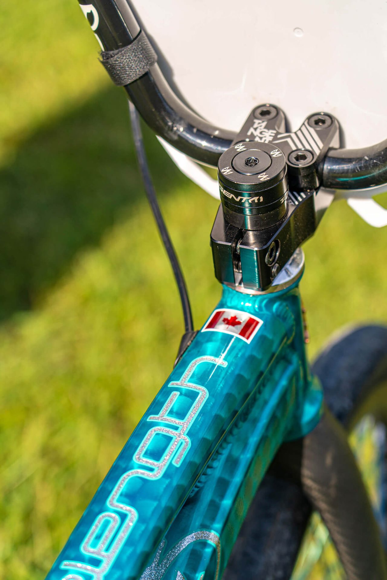 Molly Simpson Progression - Fifteen